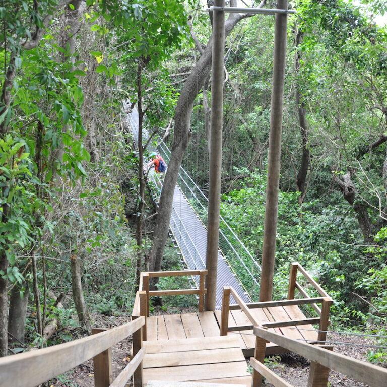 Eco-Walk Tour - South Shore Adventures